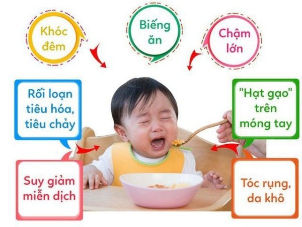 Bổ sung kẽm và dha cho bé như thế nào hiệu quả?